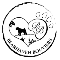 Bearhaven Bouviers